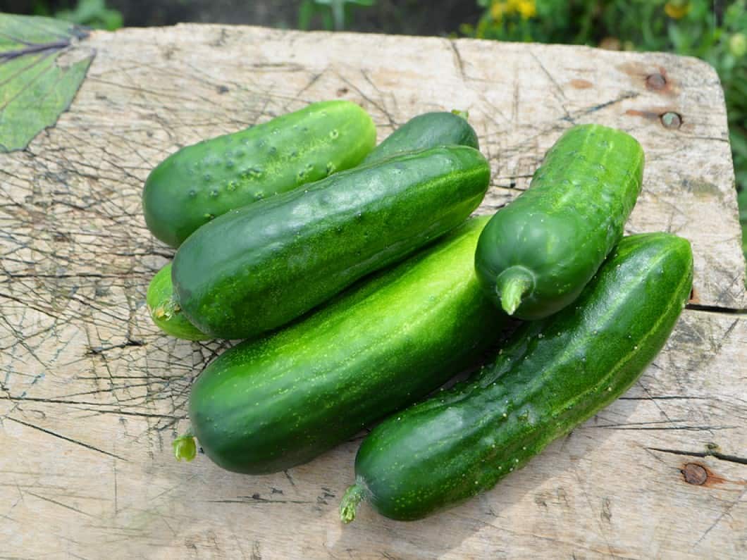 Cucumbers
